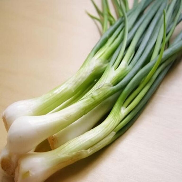 Spring Onion Vegetable Seeds - Ankur Nursery